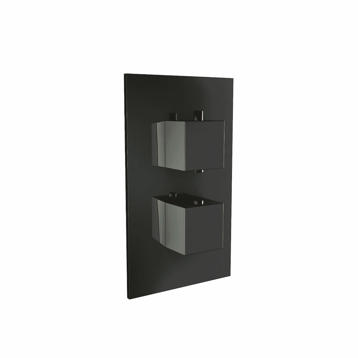 Black Dual Handle, 1 Outlet Concealed Valve | Scudo Bathrooms