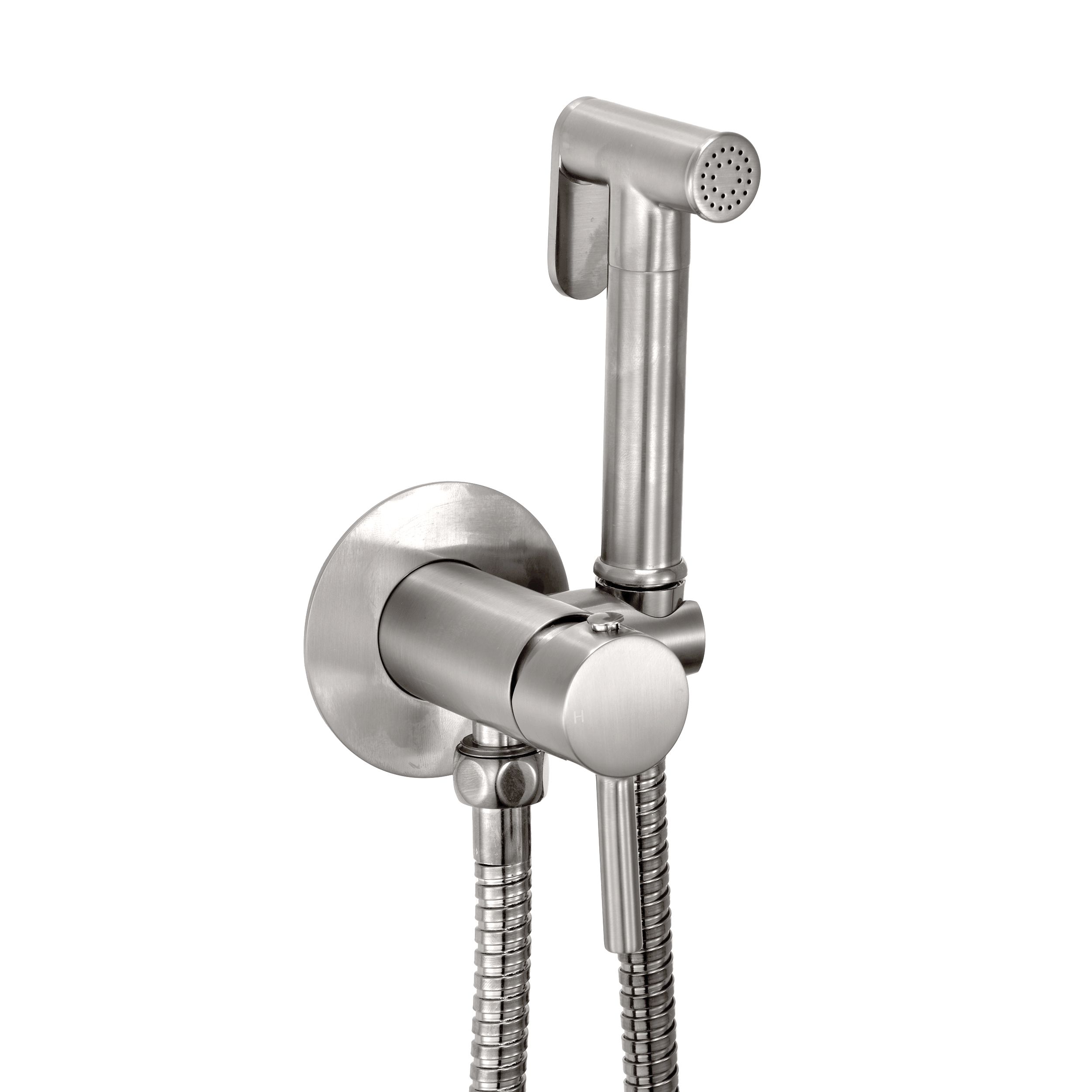 Douche Handset, Flexi, Holder and Outlet Elbow Brushed Nickel | Scudo ...